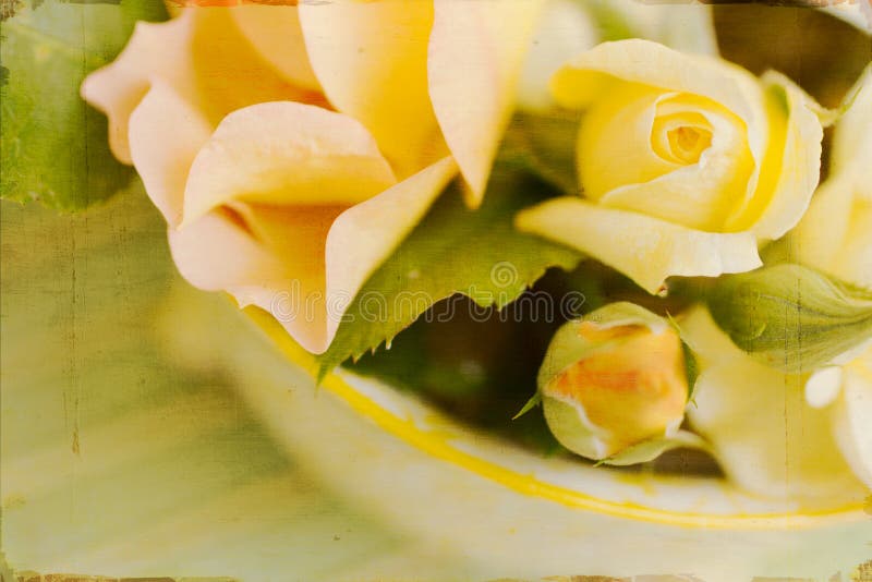 Artistic Vintage Yellow Roses Stock Image - Image of white, decor: 34689333
