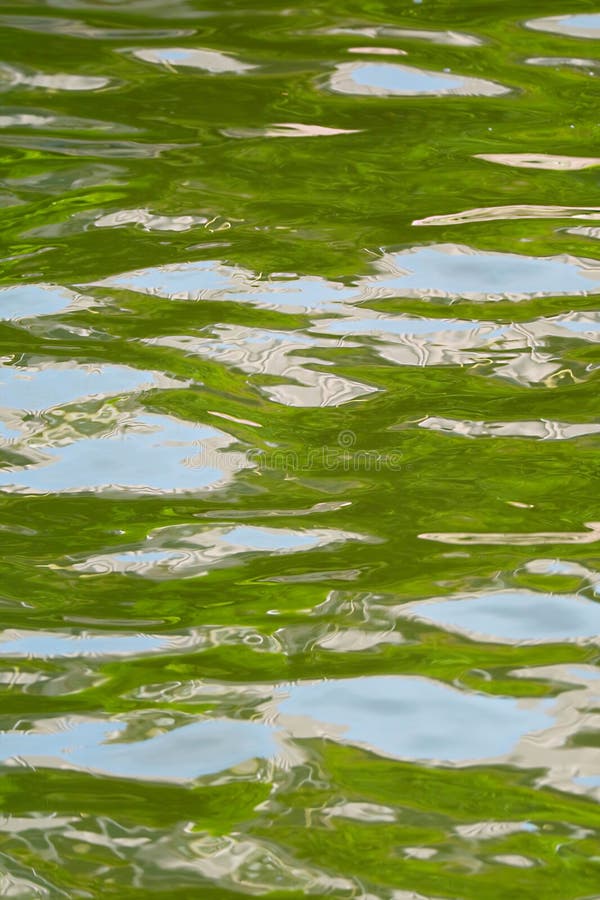 Water Ripples with Green Foliage and Blue Sky Reflections Stock Photo ...