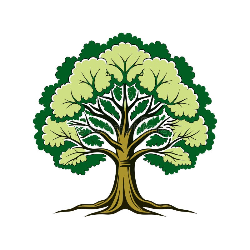 Artistic White Oak Tree Design Stock Illustration - Illustration of ...