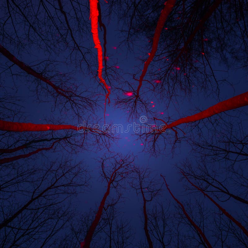 An Artistic Winter Scene in Forest with Trees Light with Red Artificial ...