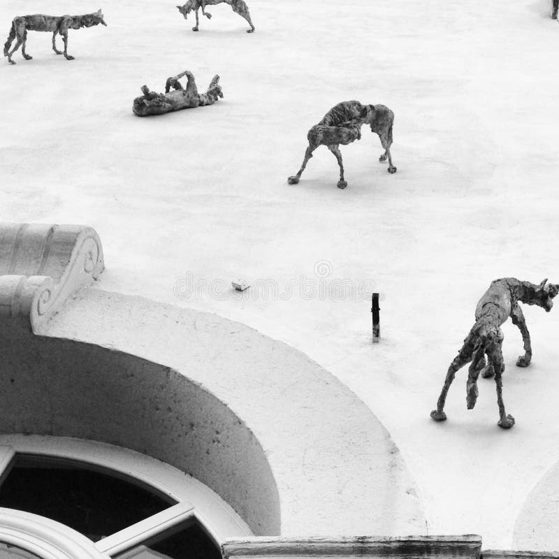 Artistic wolves editorial stock photo. Image of wolves - 49371333