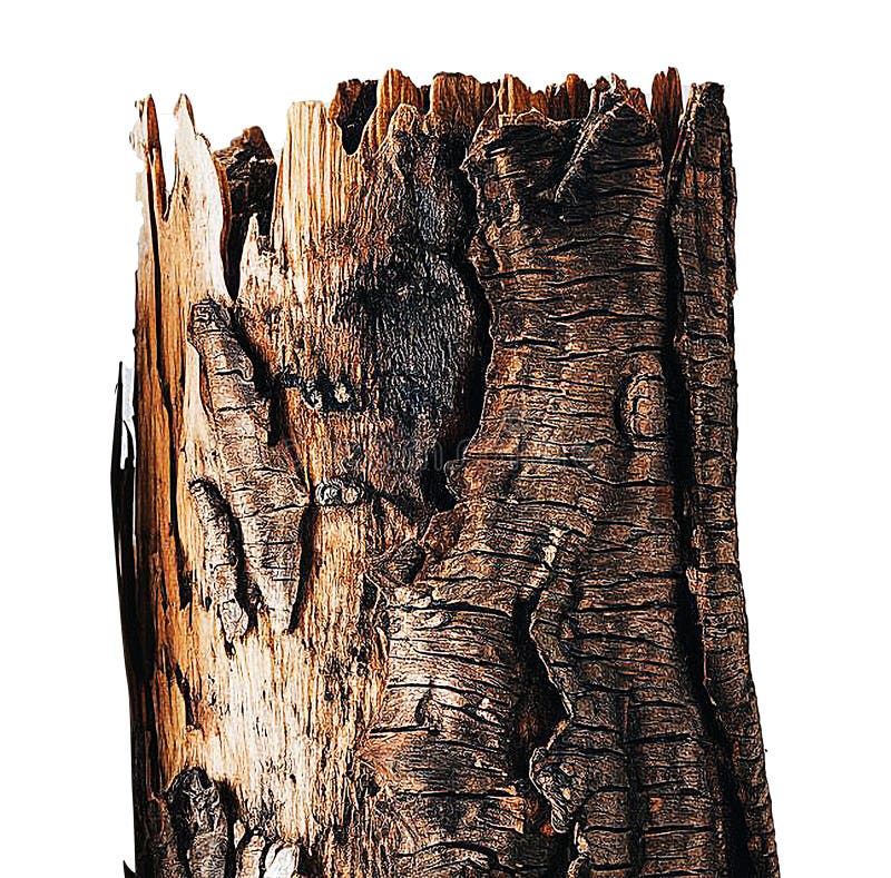 Artistic Wooden Plank Stack Isolated with Natural Patterns for Creative ...