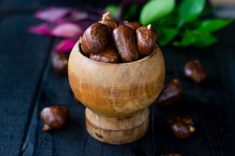 Artocarpus Altilis, Rich Exotic Fruit Called Breadfruit or Fruti Pan ...