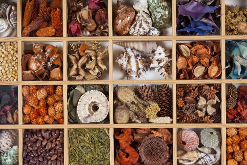 Arts & Crafts Display - Shells, Seeds Etc Stock Image - Image of ...