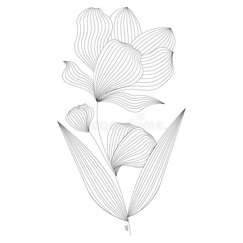 Flower Line Art Work Artwork Stock Illustration - Illustration of used ...