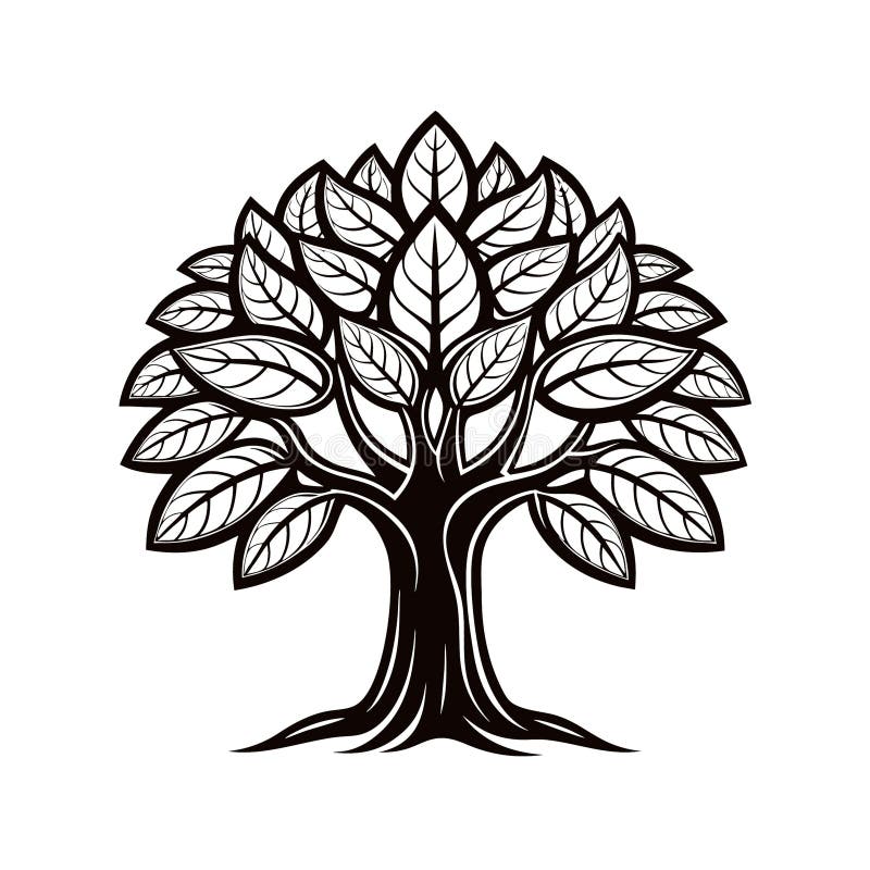 Cacao Tree Art with Bold Outline on White Stock Illustration ...