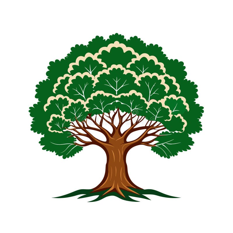 Franklin Tree Art with Bold Outline on White Stock Image - Illustration ...