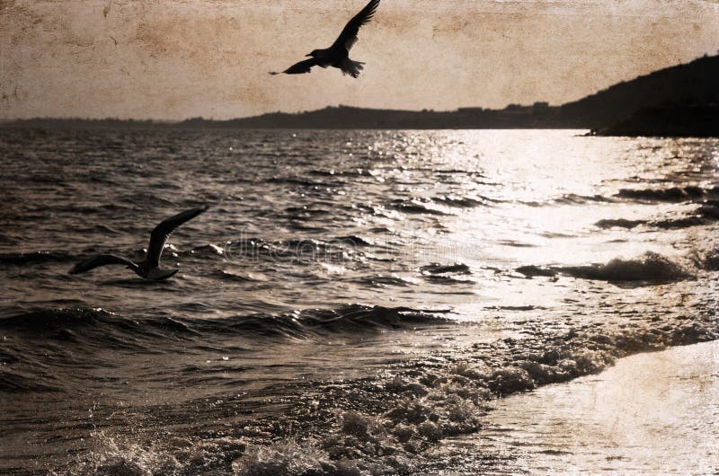 Artwork in Retro Style, Sea Stock Image - Image of seagulls, retro ...