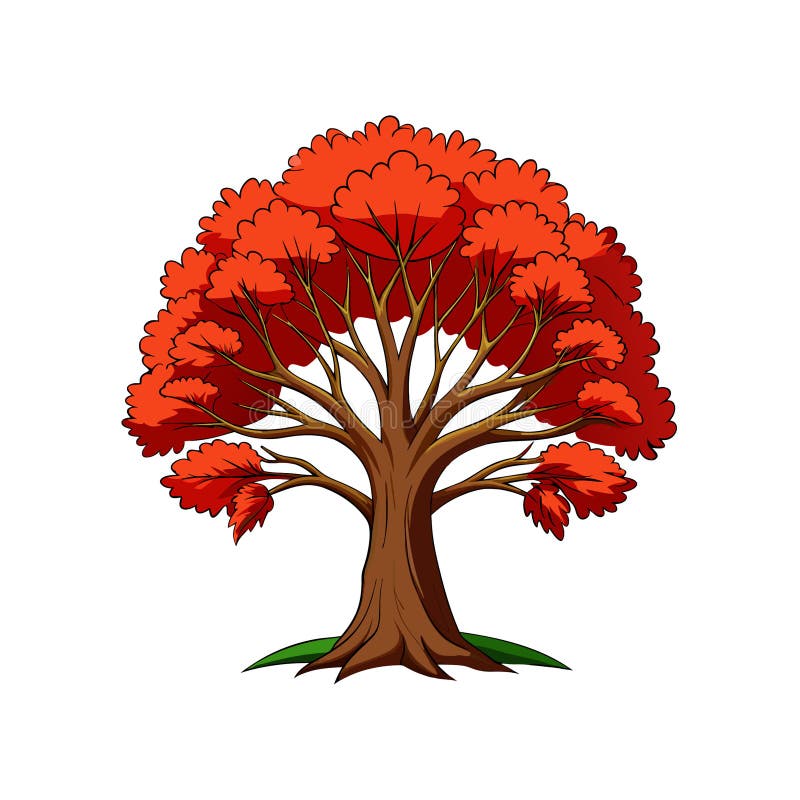 Common Beech Tree Art with Bold Outline on White Stock Illustration ...