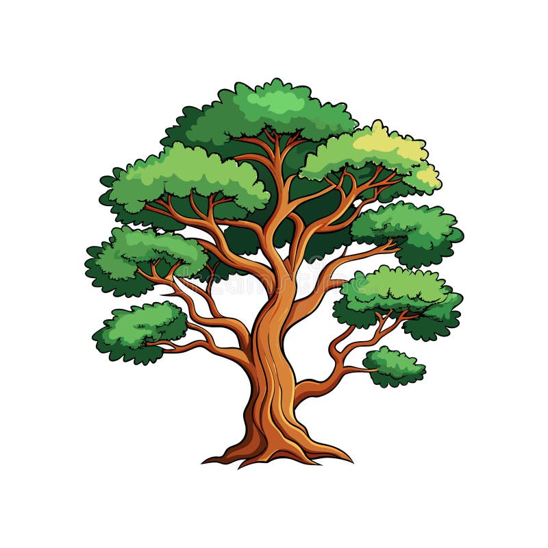 Common Juniper Tree Art with Bold Outline on White Stock Illustration ...