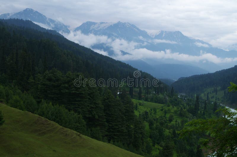Aru valley in Pahalgam stock image. Image of green, indian - 95632093