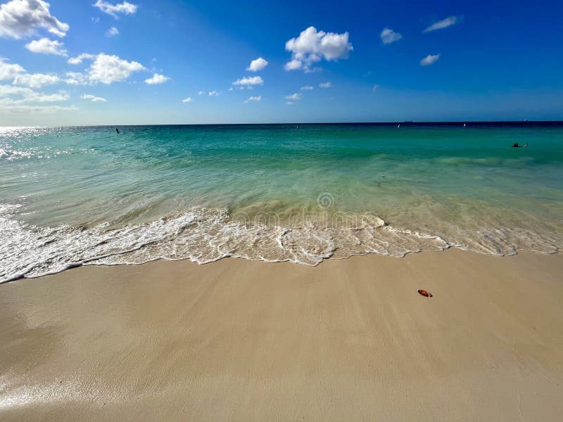 Aruba stock photo. Image of eagle, shore, beach, blue - 271087166