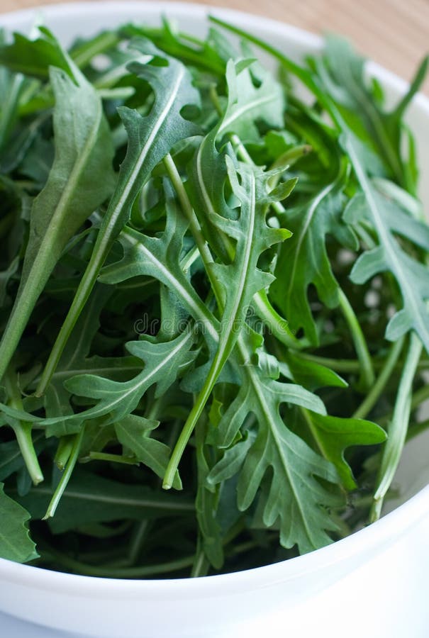 Arugula stock photo. Image of health, product, arugula - 13832340