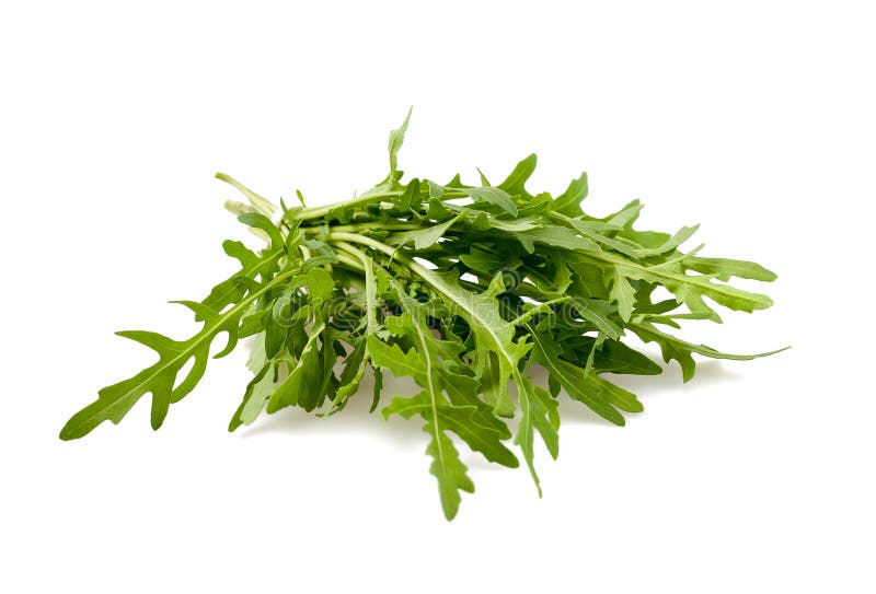 Rucola lettuce stock photo. Image of food, healthy, nutrition - 29127728