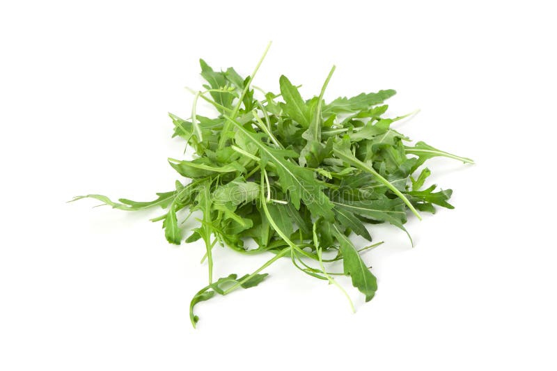 Rucola lettuce stock photo. Image of food, healthy, nutrition - 29127728