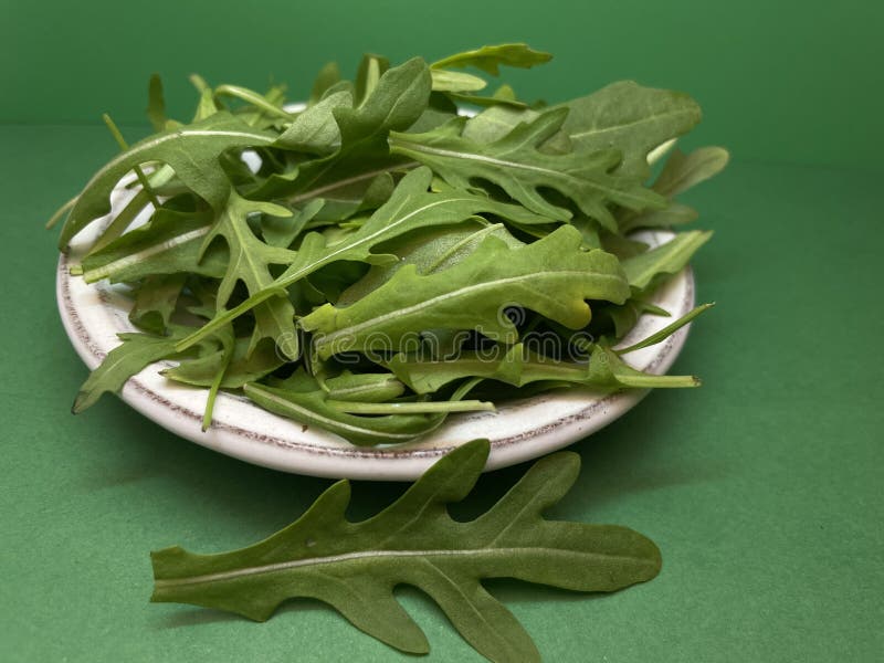 Arugula lettuce leaves stock photo. Image of garden - 272440888