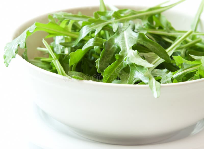 Fresh arugula stock image. Image of organic, full, freshness - 28146531
