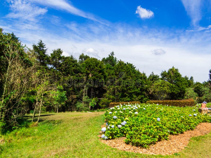 Arvi Park, Medellin stock image. Image of colorful, tourist - 346394625