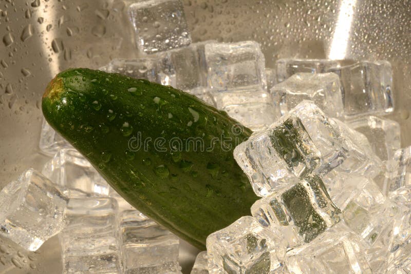 As cool as a cucumber stock photo. Image of healthy, vegetables - 54492796