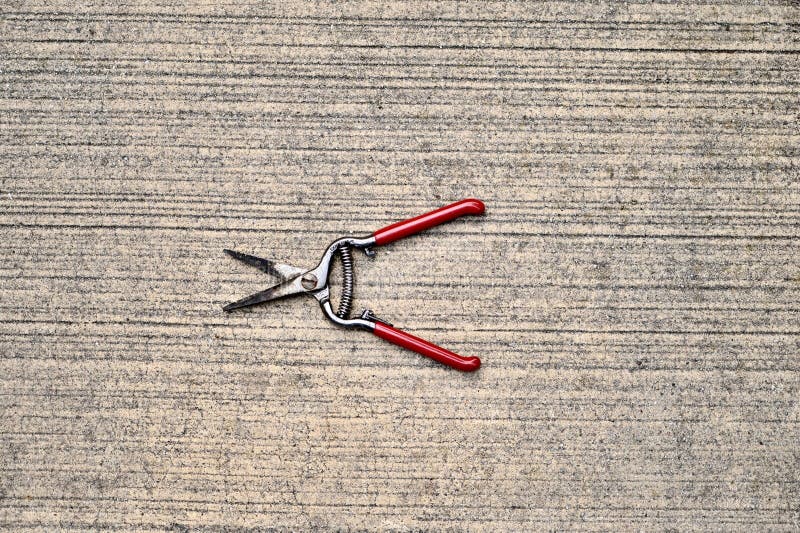 Houseplant Scissors or Snippers 1 Stock Photo - Image of scissors ...