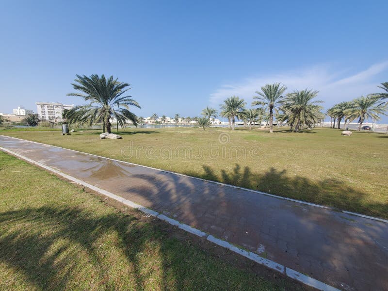 As Seeb Park, Muscat, Oman stock photo. Image of wind - 239091308