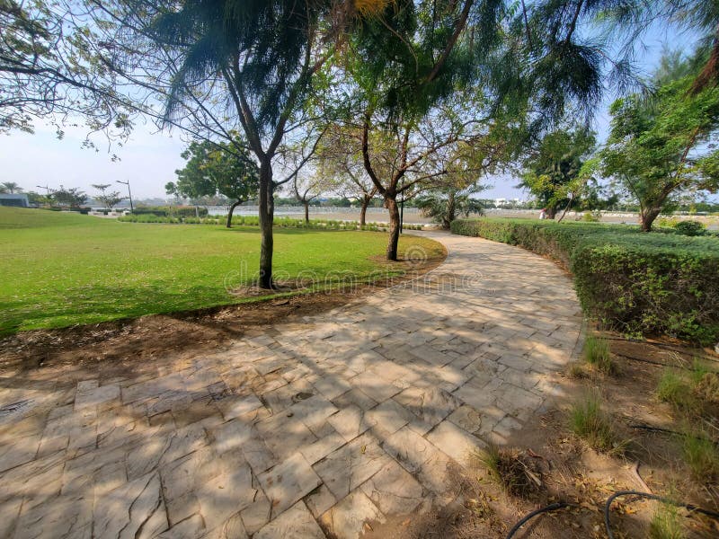 As Seeb Park, Muscat, Oman stock photo. Image of tree - 239301100