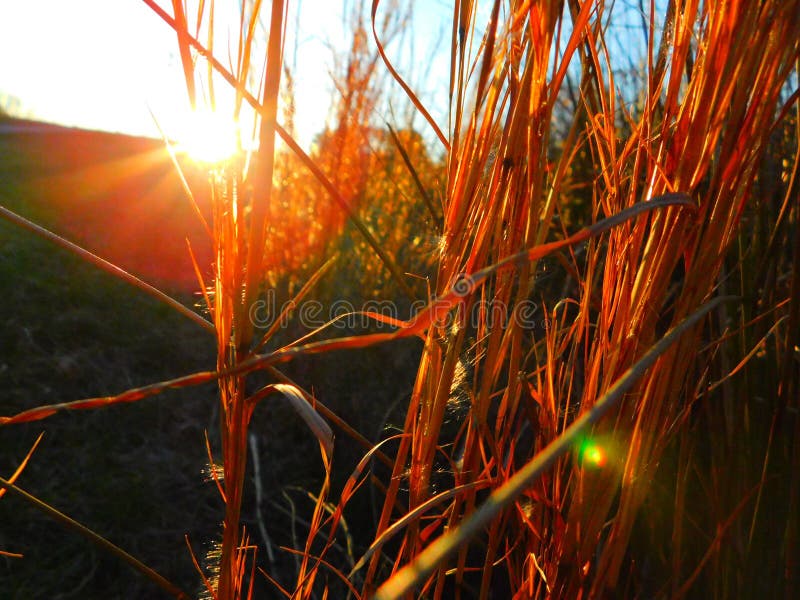 The peeking sunset stock photo. Image of throw, peeking - 258845600