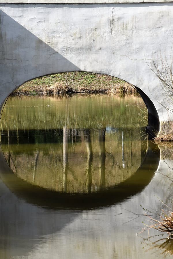 Reflection of Sky and Trees in the Fish Pond in the Garden Stock Photo ...