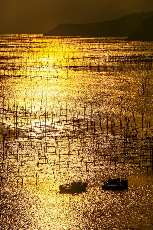 A Golden Movement Like Surface Stock Photo - Image of floor, surface ...