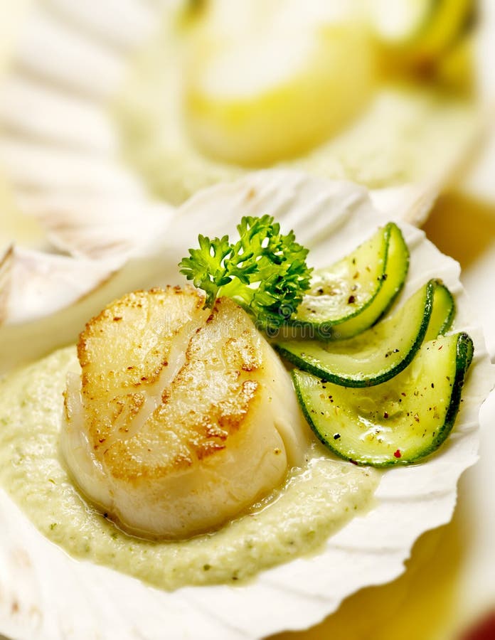 Vieira Shell Na Areia Molhada Na Praia No Nascer Do Sol Pectinidae ...