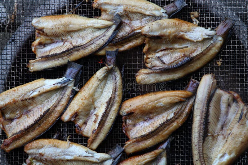 Carne De La Serpiente En Parrilla Fotos de stock - Fotos libres de ...