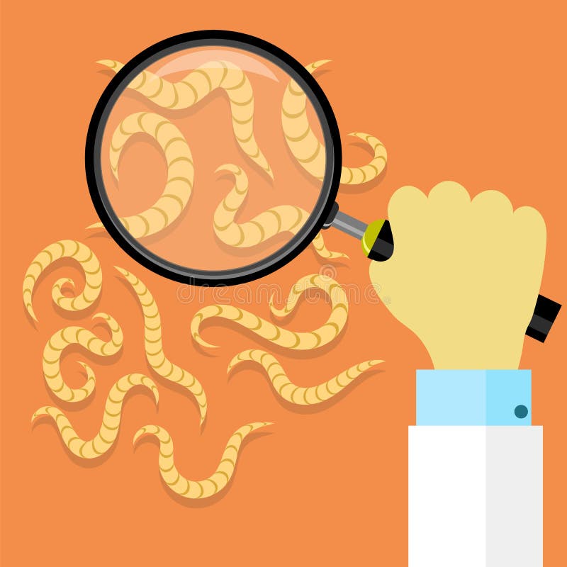 Ascarid, Helminth Pinworm Threadworm. Set of Parasite on Orange ...