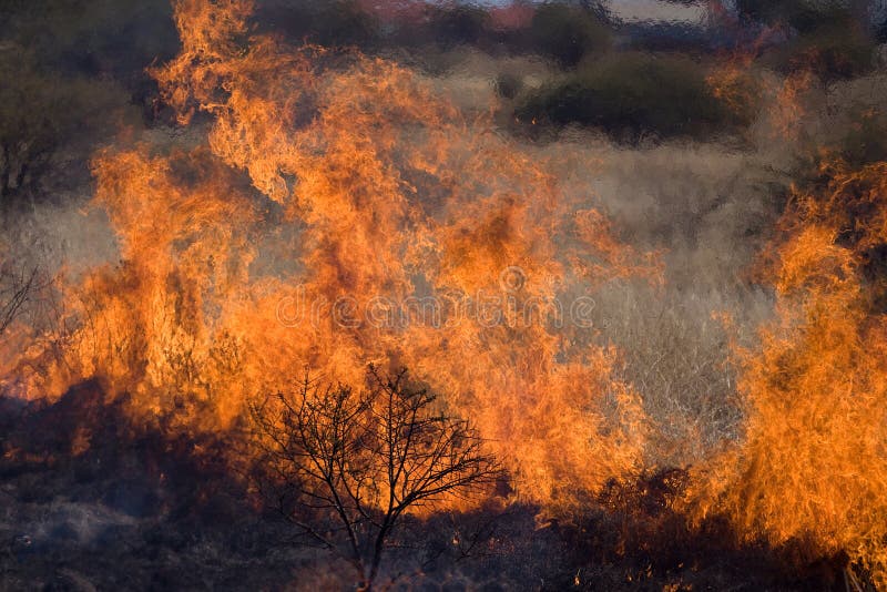 Asche stockbild. Bild von hölle, hoch, notfall, brand - 10369939