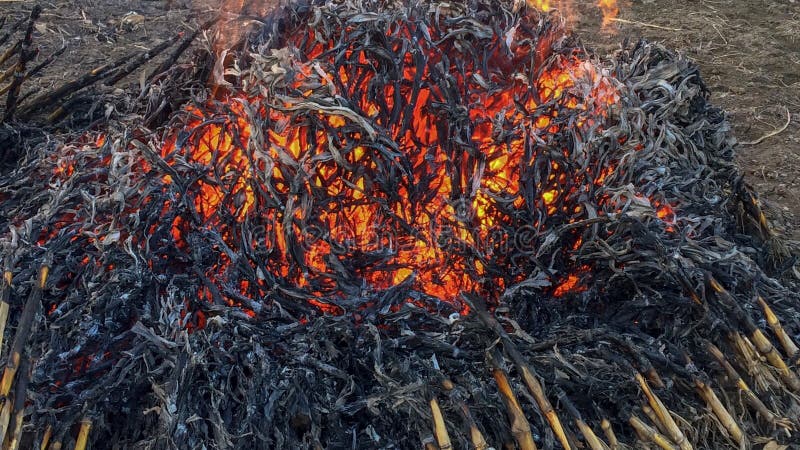 Asche stockfoto. Bild von lava, asche, temperatur, feuer - 126810598