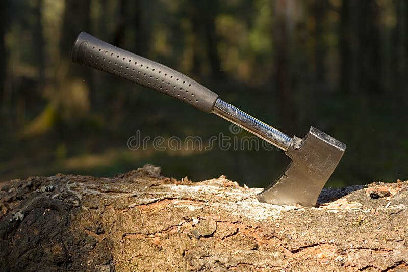 Ascia di legno di Sticked immagine stock. Immagine di albero - 1207135