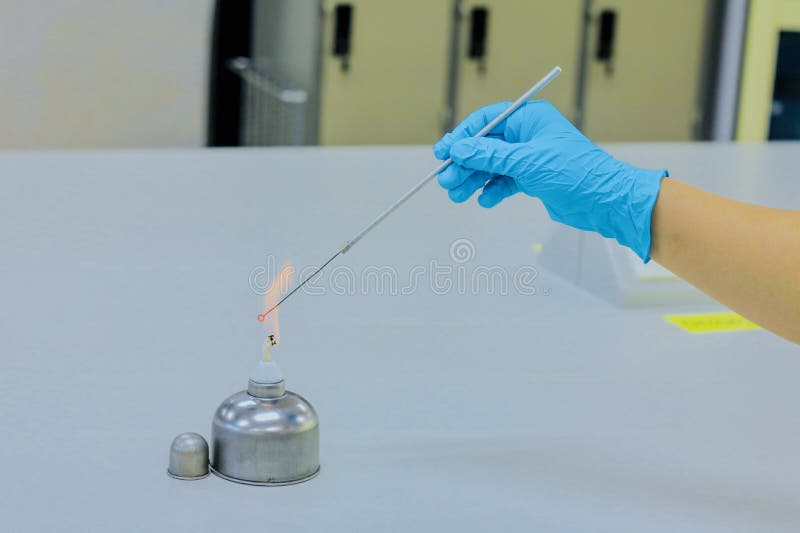 Microbiology technique stock photo. Image of science, plate - 6482868