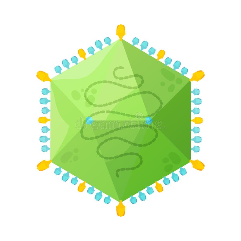 Asfarviridae Human Virus Composition Stock Vector - Illustration of ...