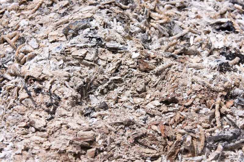 Ash stock photo. Image of background, dirt, combust, abstract - 10267244