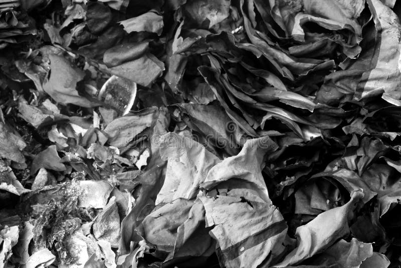 Ash stock photo. Image of blazing, black, fireplace, brown - 29928734