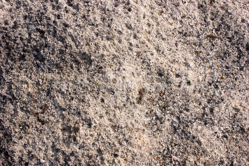 Ash background stock photo. Image of closeup, burnt, grey - 14212000