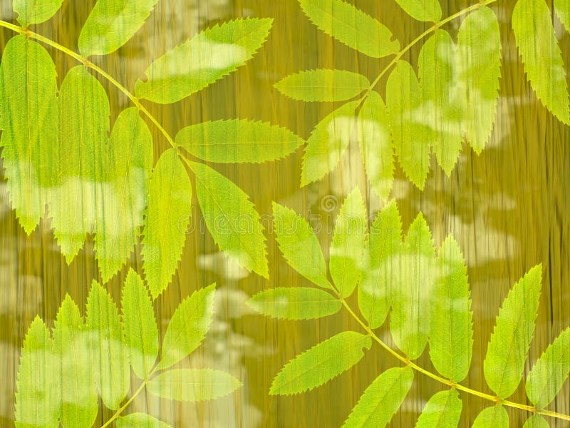 Ash background stock illustration. Illustration of environment - 2579401