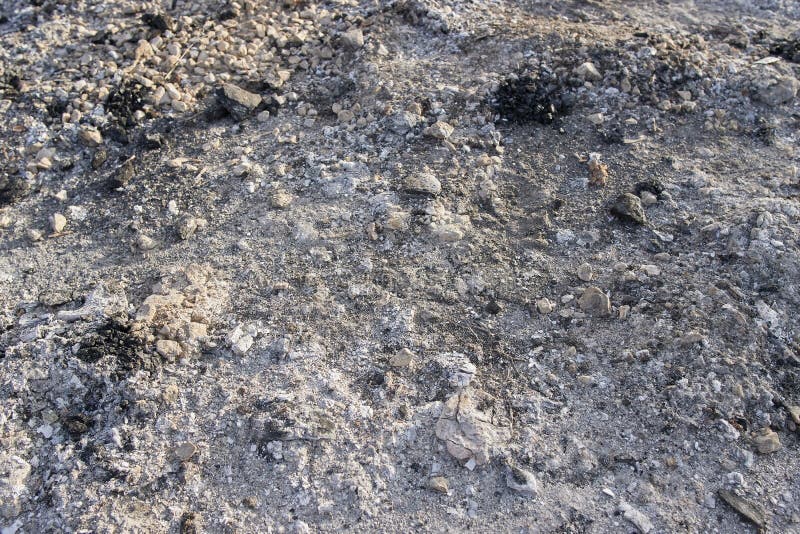 Ash after Burning Coal and Firewood , Industrial Waste, Abstract ...