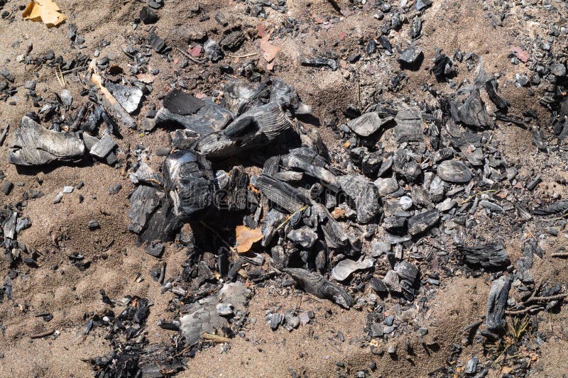 Ash and Coal after Bonfire. Place for Fire Stock Photo - Image of ...