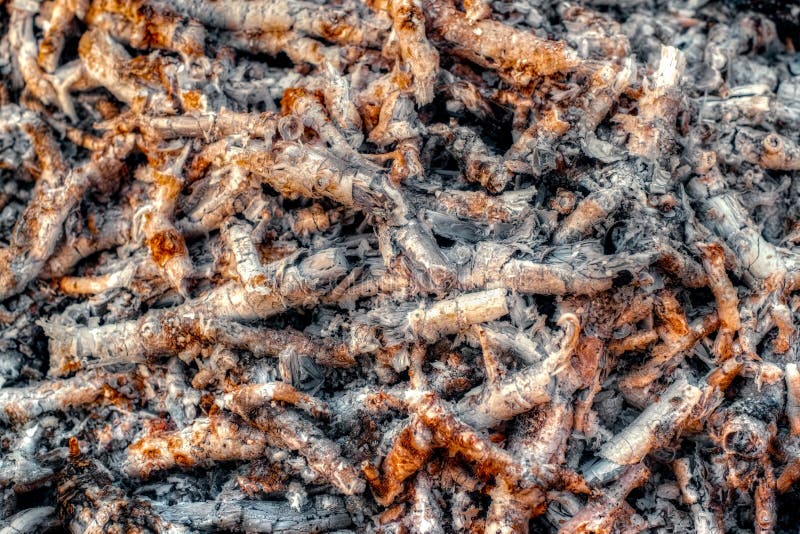 Ash and embers of bonfire stock image. Image of fireplace - 116995019
