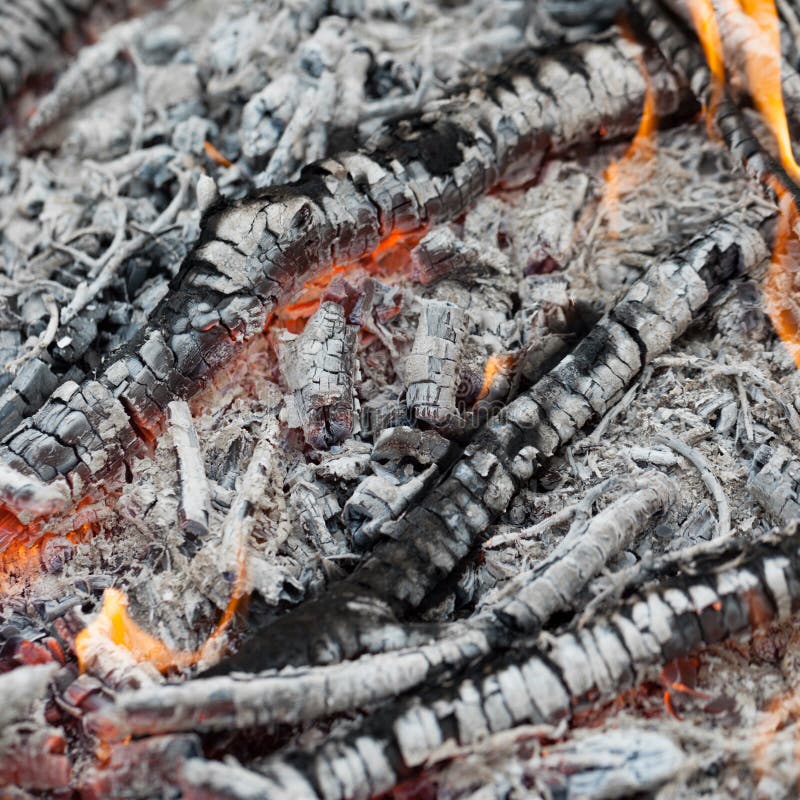 Ash and Embers of Bonfire after Barbecue Cooking Stock Photo - Image of ...