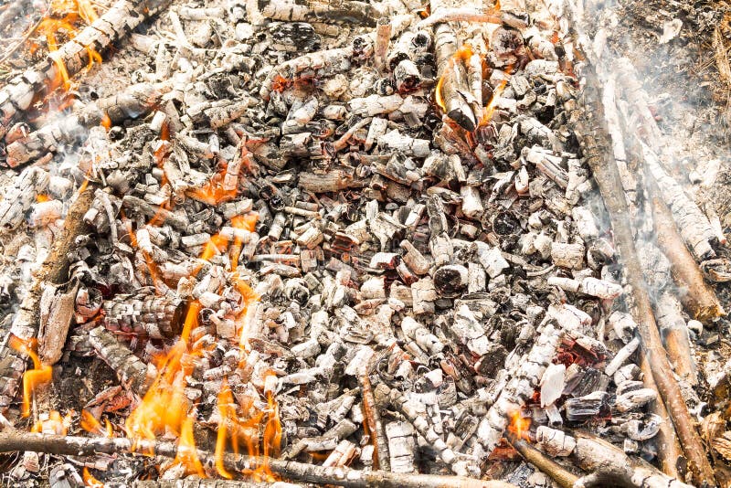 Ash from the Fire. Ash for Cooking. Close Up. Forest. Stock Photo ...