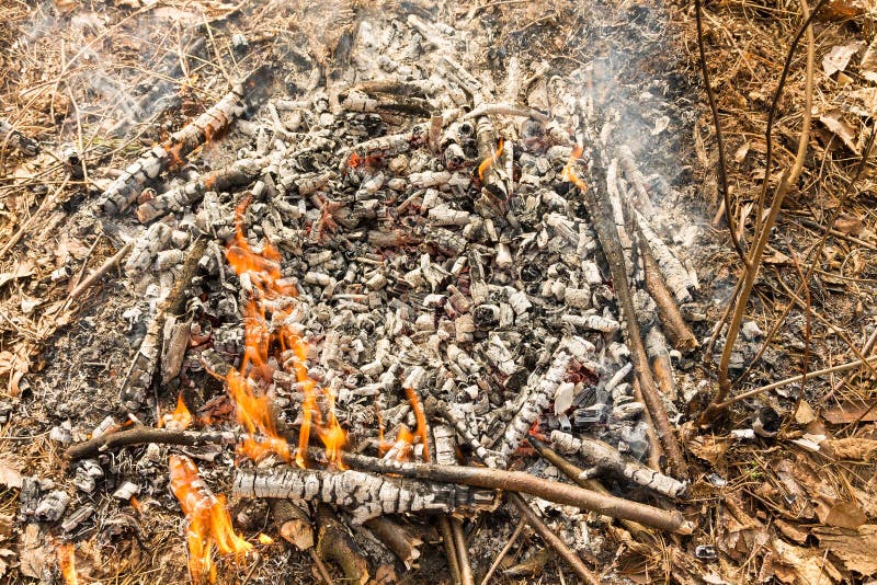 Ash from the Fire. Ash for Cooking. Forest. Stock Image - Image of coal ...