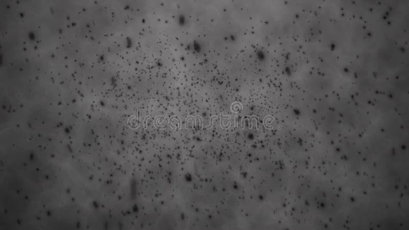 Ash Flies on a Gray Scary Background Stock Video - Video of cold ...