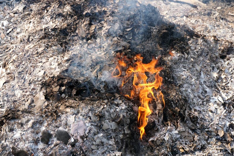 Ash on the ground stock photo. Image of close, natural - 114674810