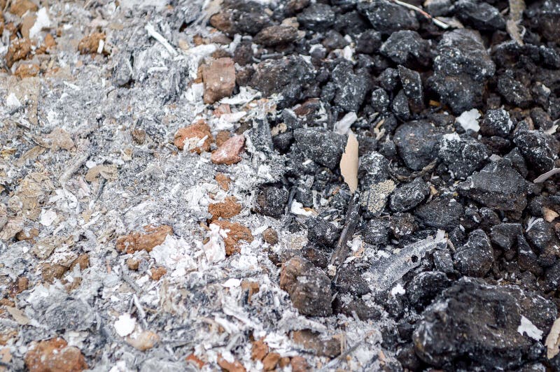 Ash on the ground stock photo. Image of nature, dust - 141350708